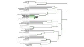Card sorting: cos’è e perché è importante usarlo